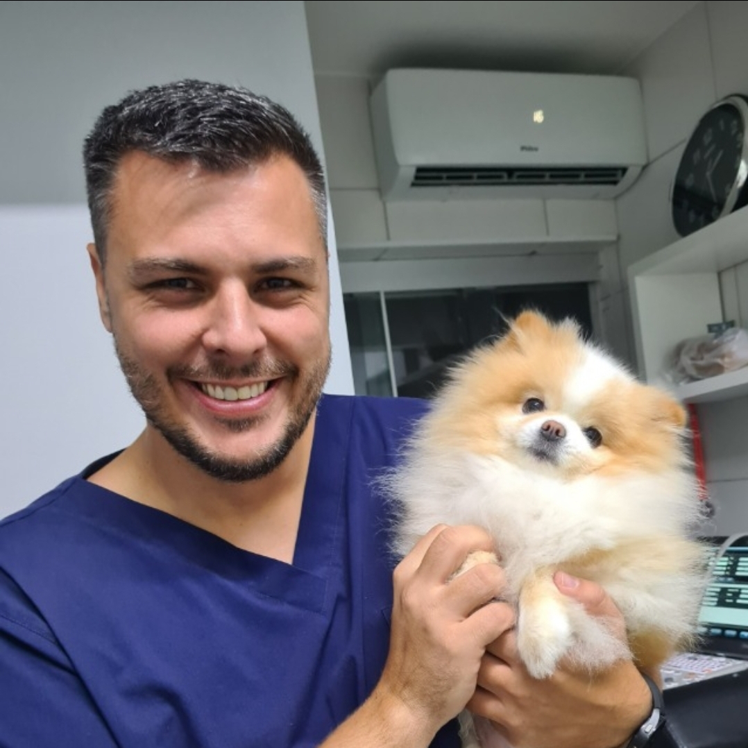 Dr. Eduardo Stelzner - Ultrassonografia Veterinária: Agende para Seu ...