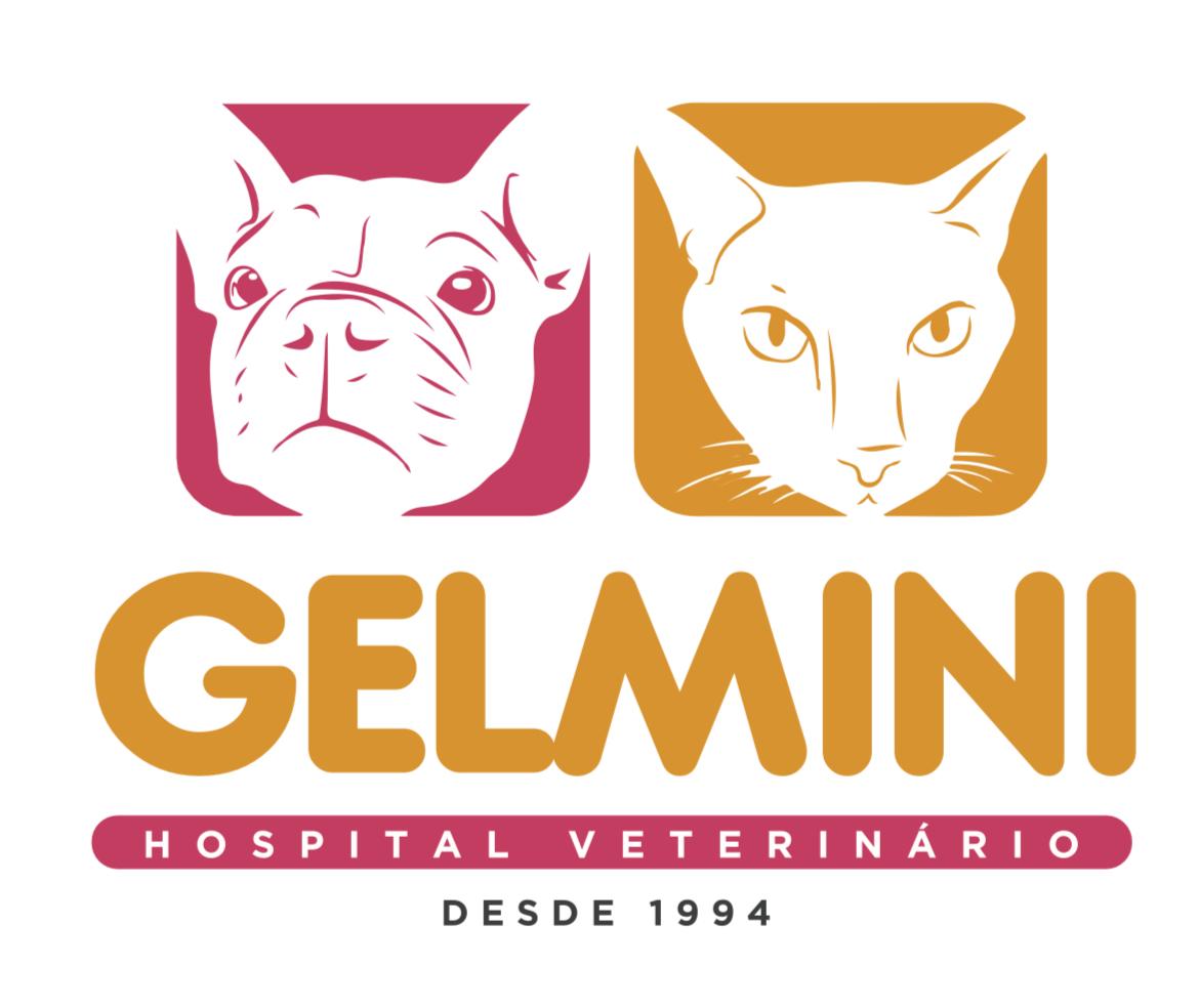 Gelmini Hospital Veterinário: Agende para Seu Pet | Petlove