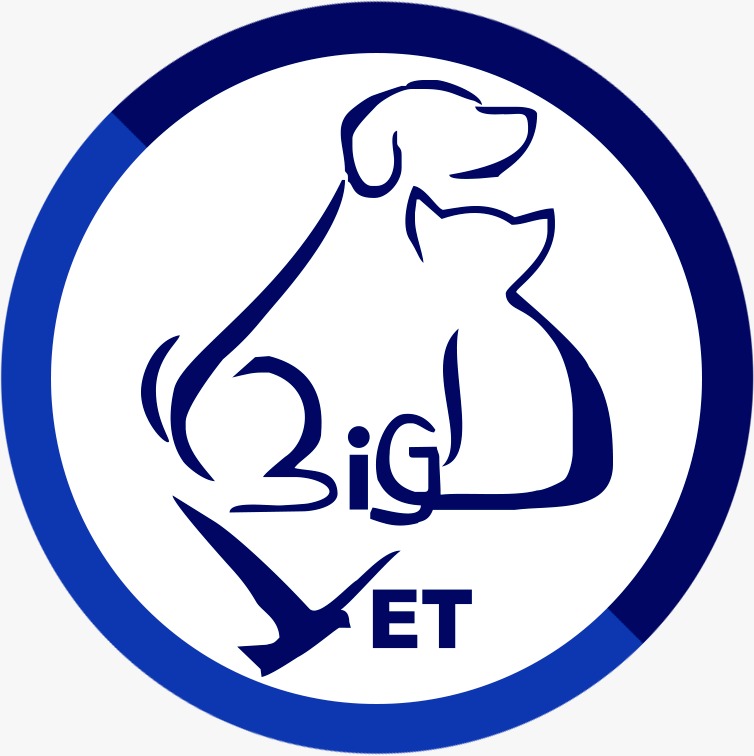 Big Vet Freguesia: Agende para Seu Pet | Petlove